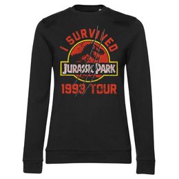 Jurassic Park Pullover in Schwarz | Gr.: M