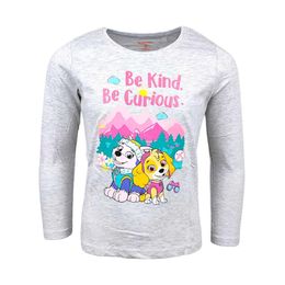 Langarmshirt PAW PATROL Skye & Everest in Hellgrau | Gr.: 128
