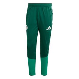 adidas Performance Sporthose 'Algerien 26' Herren Gr&ouml;&szlig;e M gr&uuml;n / tanne / wei&szlig;