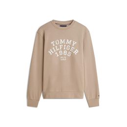 Tommy Hilfiger Sweatshirt Herren Gr&ouml;&szlig;e L beige / wei&szlig;