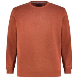 Casamoda Gro&szlig;e Gr&ouml;&szlig;en CASA MODA Strickpullover aus Baumwolle Farbe orange Gr&ouml;&szlig;e: 6XL