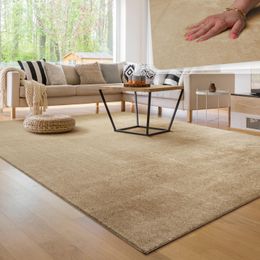 Teppich Paco Home "Cadiz 630", beige (dunkelbeige), B:160cm H:14mm L:220cm, Polyester, Teppiche, Teppich, Uni-Farben, besonders weich, waschbar, auch als Läufer erhältlich