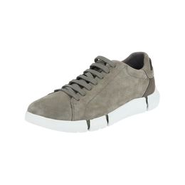 Geox Herren Sneaker "Geox Sneaker Veloursleder/Synthetik", Gr. 41sage, Synthetik, Veloursleder, Schuhe