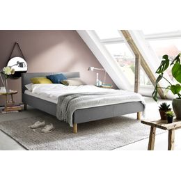 Meise M&ouml;bel Polsterbett LUNA