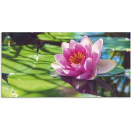 Wandbild Artland, B:100cm H:50cm, gr&uuml;n, Wohnzimmer, Bilder, "Seerose Nahaufnahme", f&uuml;r Innen- und Au&szlig;enbereich geeignet, Outdoorbild