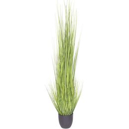 Kunstgras BOTANIC-HAUS, B:55cm H:150cm T:55cm Ø:55cm, grün, Kunststoff, Kunstpflanzen, "Gras Festuca"