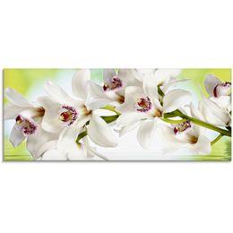 Glasbild Artland, B:125cm H:50cm, wei&szlig;, Glas, K&uuml;che, Bilder, "Wei&szlig;e Orchidee", in verschiedenen Gr&ouml;&szlig;en