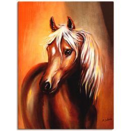 Leinwandbild Artland, B:60cm H:80cm, braun, Leinwand, Wohnzimmer, Bilder, "Pferd Fantasie", auf Holzrahmen gespannt