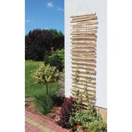 Rankhilfe Dobar, B:50cm H:200cm, braun, Edelstahl, Massivholz, Rankhilfen, LxB: 50x200 cm, Haselnuss