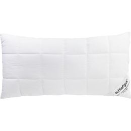 Kunstfaserkopfkissen Schlafgut, B:40cm L:80cm, wei&szlig;, Bezug: 100% Baumwolle. F&uuml;llung: 100% Polyester, Kopfkissen, "Pure Kissen", Anschmiegsames