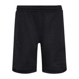 DROPSIZE Herren Shorts "Dropsize Herren Dropsize V2 Mesh Shorts"schwarz, Gr. XS, 100% Polyester, Hosen