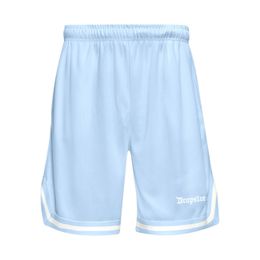 Shorts DROPSIZE "Dropsize Herren Dropsize Logo Mesh Shorts", Herren, Gr. M, US-Gr&ouml;&szlig;en, baby blau, 100% Polyester, loose fit, Hosen Shorts