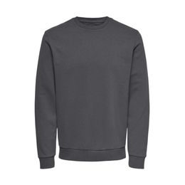 Only & Sons Only & Sons Sweatshirt 'Ceres' male Grey size S