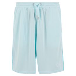 Karl Kani Damen Shorts "Karl Kani Signature Tape Mesh Shorts"lightaqua, Gr. L, unifarben, 100% Polyester, Hosen
