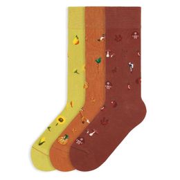 von Jungfeld Socken 'Icons Socken-Set' Damen Gr&ouml;&szlig;e 39/42 kupfer