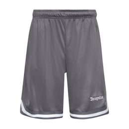 DROPSIZE Herren Shorts "Dropsize Herren Dropsize Logo Mesh Shorts"steel grau, Gr. S, 100% Polyester, Hosen