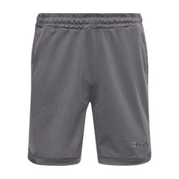 DROPSIZE Herren Shorts "Dropsize Herren Dropsize V2 Mesh Shorts"steel grau, Gr. S, 100% Polyester, Hosen
