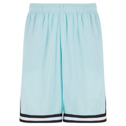 Karl Kani Damen Shorts "Karl Kani Small Signature Essential Mesh Shorts"lightblau, Gr. L, 100% Polyester, Hosen