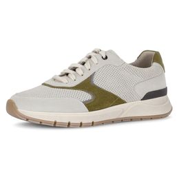 Pius Gabor Sneakers male Grey size 8,5