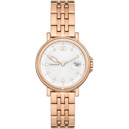 Skagen Analog Watch female Gold size One Size