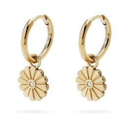 Guido Maria Kretschmer Jewellery Earrings female Gold size One Size