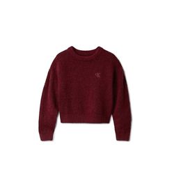 Calvin Klein Jeans Pullover M&auml;dchen Gr&ouml;&szlig;e 128 rotmeliert