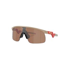 Oakley Resistor small zubeh&ouml;r Unisex bunt