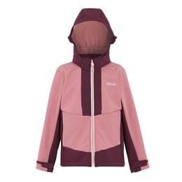 Regatta Softshelljacke "Haydenbury" in Rosa - 58% | Gr&ouml;&szlig;e 164 | Kinder-outdoor-jacken