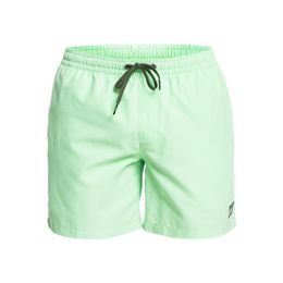 Quiksilver Badeshorts &raquo;Everyday 15"&laquo; gr&uuml;n XXL - US-Gr&ouml;&szlig;en US-Gr&ouml;&szlig;en XXL recyceltes Material: recycelter...