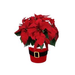MeinVIPShop Weihnachtsstern 30 cm Santa Claus | Gr.: onesize
