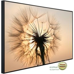 papermoon Infrarotheizung "Pusteblume", bunt (kunstmotiv im aluminiumrahmen), B/H/T: 100cm x 60cm x 3cm, 600 W, Heizk&ouml;rper, sehr angenehme Strahlungsw&auml;rme