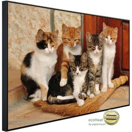 papermoon Infrarotheizung "S&uuml;&szlig;e katzen", bunt (kunstmotiv im aluminiumrahmen), B/H/T: 100cm x 60cm x 3cm, 600 W, Heizk&ouml;rper, sehr angenehme Strahlungsw&auml;rme