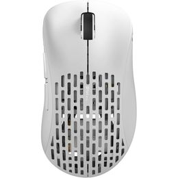 Pulsar Xlite V2 Maus Wireless