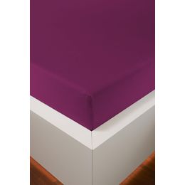 Spannbettlaken bellana "Melone Topper in Gr. 90x200, 140x200 oder 180x200 cm", lila (beere), L:200cm, Mako-Jersey, Obermaterial: 100% Baumwolle, Bettlaken, Spannbettlaken, Baumwolle, Matratzen bis 10 cm H&ouml;he, Spannbetttuch auch f&uuml;r Kinder