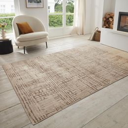 Teppich Hanse Home "Sole", beige (creme,braun), B:120cm H:8mm L:170cm, Polypropylen (PP), Teppiche, Teppich, Kurzflor, L&auml;ufer, Vintage, Wohnzimmer, Schlafzimmer, Esszimmer, Flur