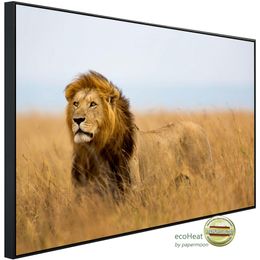 papermoon Infrarotheizung "L&ouml;we in Masai Mara Kenia", bunt (kunstmotiv im aluminiumrahmen), B/H/T: 100cm x 60cm x 3cm, 600 W, Heizk&ouml;rper, sehr angenehme Strahlungsw&auml;rme