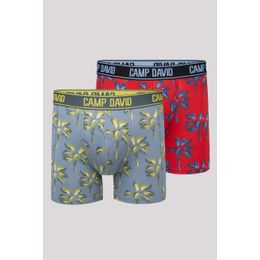 Boxershorts CAMP DAVID "Set:", Damen, Gr. S, 2 Stk., bunt (surf grau, rot), Material: 95% Baumwolle, 5% Elasthan, bedruckt, Unterhosen, mit All Over Print