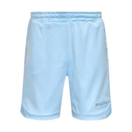 Shorts DROPSIZE "Dropsize Herren Dropsize V2 Mesh Shorts", Herren, Gr. L, US-Größen, baby blau, 100% Polyester, normal, Hosen Shorts