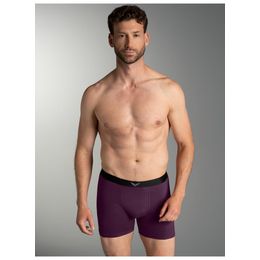 Boxer TRIGEMA "TRIGEMA Pants mit praktischem Gummibund", Herren, Gr. S, 1 Stk., aubergine, 95% Baumwolle, 5% Elasthan, Unterhosen