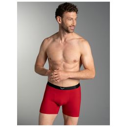 Boxer TRIGEMA "TRIGEMA Pants mit praktischem Gummibund", Herren, Gr. XXL, 1 Stk., kirsch, 95% Baumwolle, 5% Elasthan, Unterhosen
