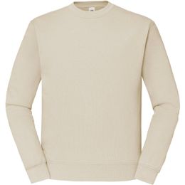Sweatshirt Fruit of the Loom, Herren, Gr. XXL (60/62), beige (natur), angeraute Sweatware, Obermaterial: 80% Baumwolle, 20% Polyester, unifarben, schmal hüftlang, Rundhals, Rippbündchen, Sweatshirts Sweatshirt, im unifarbenen Design