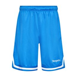 Shorts DROPSIZE "Dropsize Herren Dropsize Logo Mesh Shorts", Herren, Gr. L, US-Größen, royal blau, 100% Polyester, loose fit, Hosen Shorts