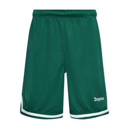 Shorts DROPSIZE "Dropsize Herren Dropsize Logo Mesh Shorts", Herren, Gr. L, US-Größen, grün, 100% Polyester, loose fit, Hosen Shorts