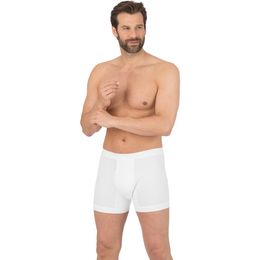 Schl&uuml;pfer TRIGEMA "TRIGEMA Unterhose Feinripp im Doppelpack", Herren, Gr. 9, 2 Stk., wei&szlig;, 100% Baumwolle (Bio-Baumwolle kbA), Unterhosen