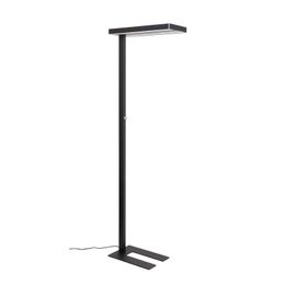 Maul Standleuchte Mauljuvis LED 4.000 K dimmbar Standfu&szlig; 196 cm schwarz