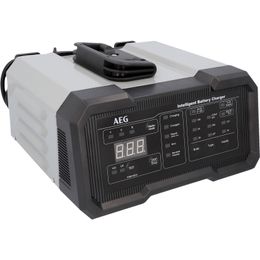 AEG Batterieladeger&auml;t CW10