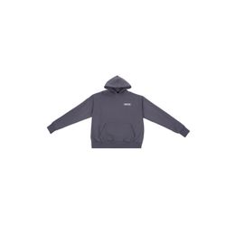 Kapuzensweatshirt DROPSIZE "Dropsize HEAVY OVERSIZE WIRE DOVE HOODIE", Herren, Gr. L, steel grau, 70% Baumwolle, 30% Polyester, bedruckt, Sweatshirts