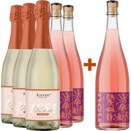 Weingut Friedrich Kiefer 5+1 Paket Vis-&agrave;-vis & NOU alkoholfrei - Baden &ndash; Probierpaket Diverse