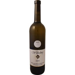 Weingut Wilhelmy Wei&szlig;burgunder und Chardonnay Cuv&eacute;e 2023 Halbtrocken - Nahe &ndash; Wei&szlig;wein Qualit&auml;tswein