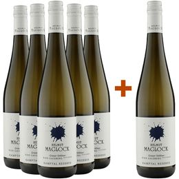 Weingut Helmut Maglock 5+1 Kamptal DAC Reserve Ried Gaisberg Alte Reben Gr&uuml;ner Veltliner 2022 Trocken - &ndash; Probierpaket Qualit&auml;tswein